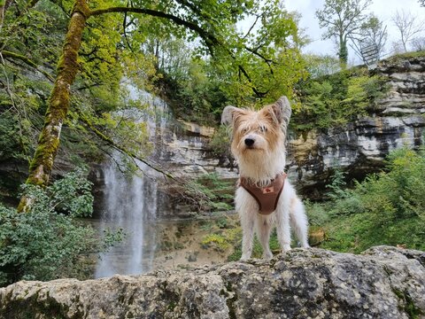 Kromi Images – Browse 40 Stock Photos, Vectors, and Video | Adobe Stock