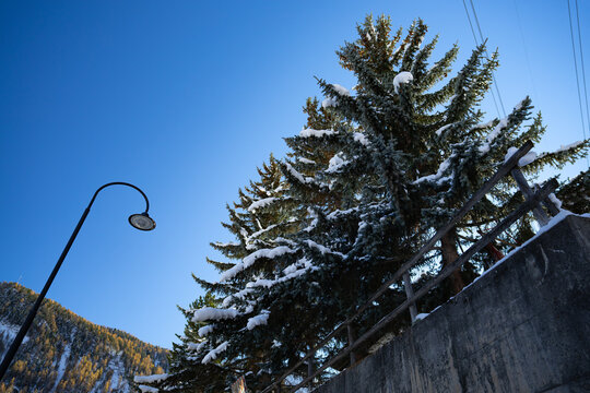 Visp Bilder – Durchsuchen 1,514 Archivfotos, Vektorgrafiken und Videos ...