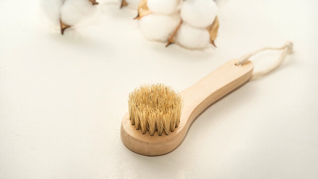 รูปภาพ"Bristles – เลือกดูภาพถ่ายสต็อก เวกเตอร์ และวิดีโอ660,015 | Adobe ...
