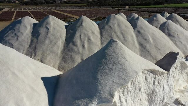 Salinas Images – Browse 28,115 Stock Photos, Vectors, and Video | Adobe ...