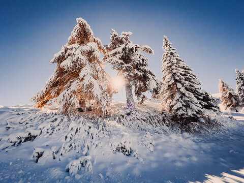 รูปภาพSchneeberge – เลือกดูภาพถ่ายสต็อก เวกเตอร์ และวิดีโอ2,124 | Adobe ...