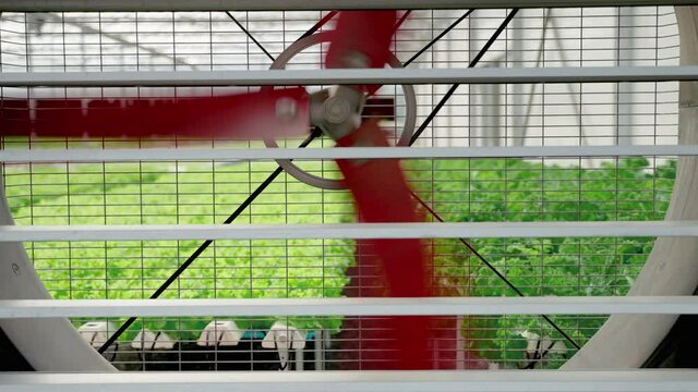 Farm Fan Images – Browse 10,558 Stock Photos, Vectors, and Video ...