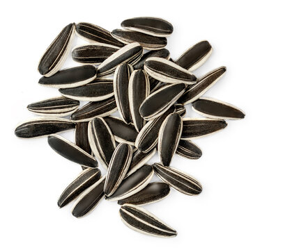 57 BEST Semki IMAGES, STOCK PHOTOS & VECTORS | Adobe Stock