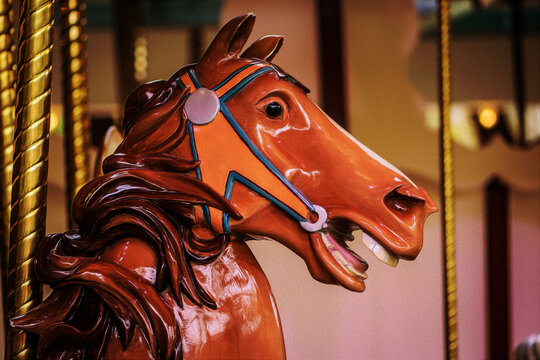 Carousel Horse Head Images – Browse 1,358 Stock Photos, Vectors, and ...
