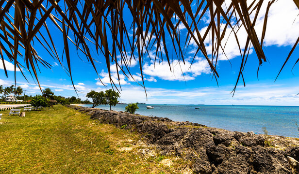 Nuku'alofa Bilder – Durchsuchen 2,608 Archivfotos, Vektorgrafiken und ...