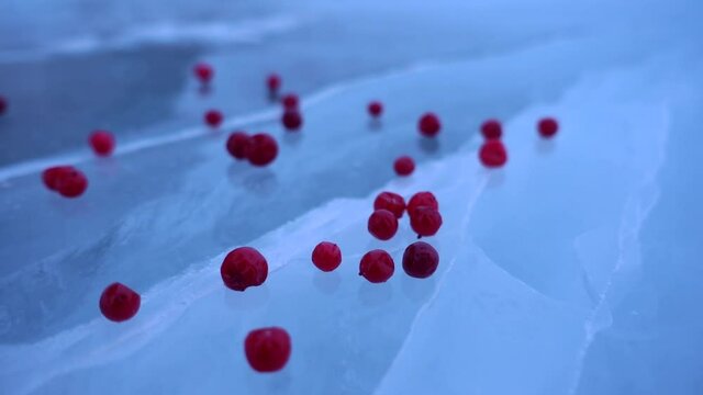 Bakal Images – Browse 504 Stock Photos, Vectors, and Video | Adobe Stock