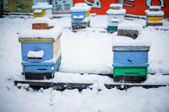 Bienenstand Bilder – Durchsuchen 115,636 Archivfotos, Vektorgrafiken ...