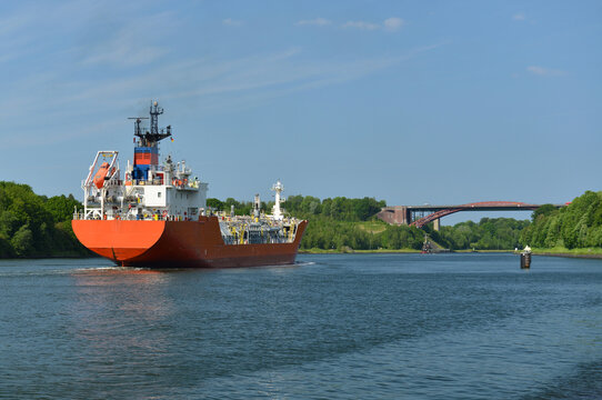 Afbeeldingen over "Levensauer – Blader in stockfoto's, vectoren en video's over 117 | Adobe Stock