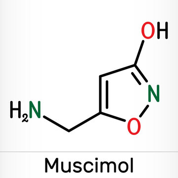 Muscimol Images – Browse 2,774 Stock Photos, Vectors, and Video | Adobe ...