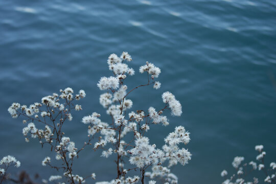 Unspecified Bilder – Durchsuchen 729 Archivfotos, Vektorgrafiken und ...