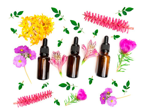 Miscellany Images – Browse 866 Stock Photos, Vectors, and Video | Adobe ...