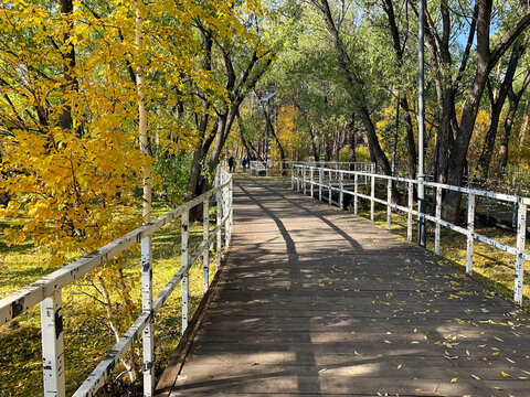 Brich bilder – Bläddra bland 541 stockfoton, vektorer och videor | Adobe Stock