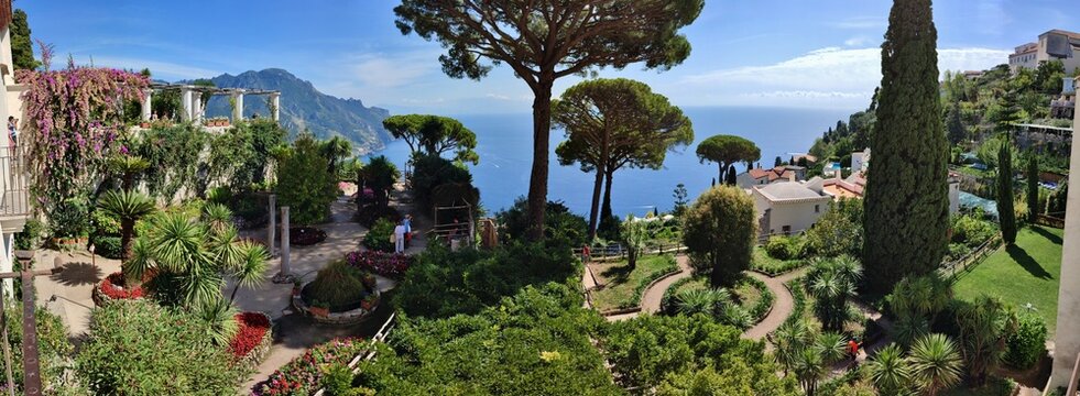 รูปภาพ"Piante – เลือกดูภาพถ่ายสต็อก เวกเตอร์ และวิดีโอ29,592 | Adobe Stock