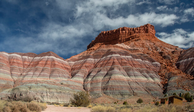 Leecher bilder – Bläddra bland 5,659 stockfoton, vektorer och videor ...