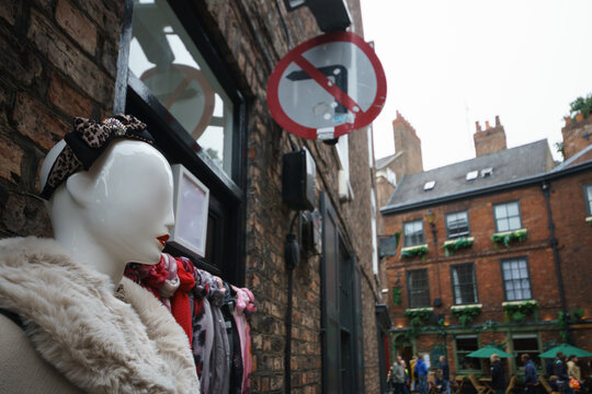 Sonderweg Bilder – Durchsuchen 267 Archivfotos, Vektorgrafiken und ...