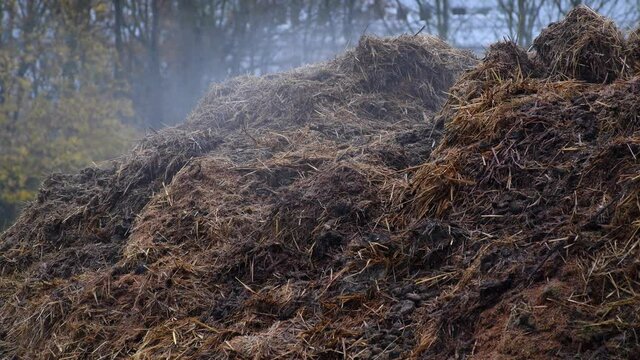 "Dung Heap"-Bilder: Stock-Fotos & -Videos. | Adobe Stock