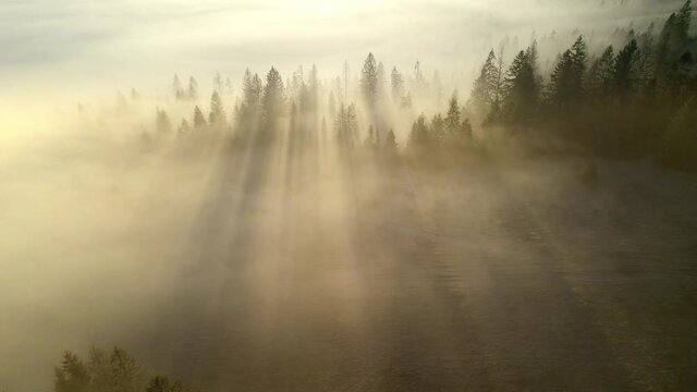 Vale Video Footage – Browse 731,760 HD Stock Video and Footage | Adobe ...