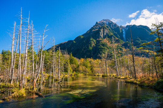 Hotaka Images – Browse 1,882 Stock Photos, Vectors, and Video | Adobe Stock