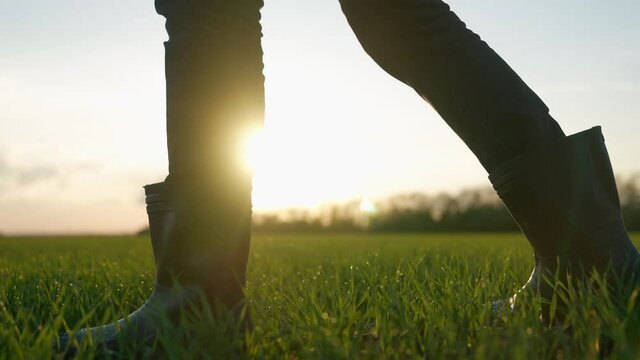 Agronomy Video Footage – Browse 99,968 HD Stock Video and Footage ...