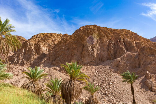 Chanda Images – Browse 251 Stock Photos, Vectors, and Video | Adobe Stock