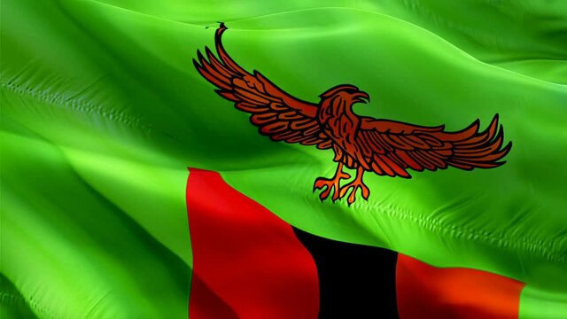 Zambia Flag Eagle