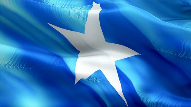 "Somali Flag" Images – Browse 218 Stock Photos, Vectors, and Video ...