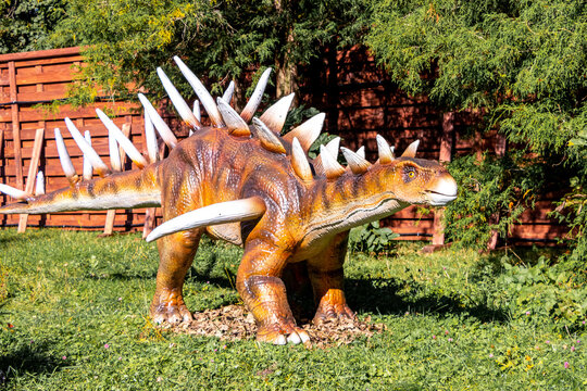 Kentrosaurus Bilder – Durchsuchen 450 Archivfotos, Vektorgrafiken und ...