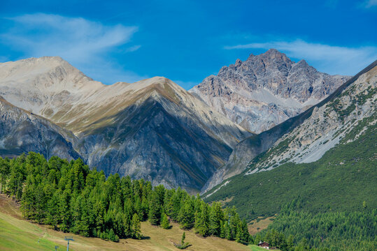 Languard Bilder – Durchsuchen 373 Archivfotos, Vektorgrafiken und ...