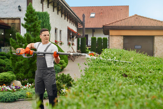 Free Landscaping Images – Browse 74,487 Free Stock Photos, Vectors, and ...