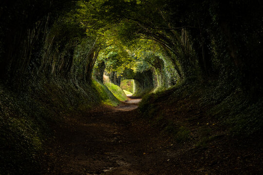 รูปภาพHalnaker – เลือกดูภาพถ่ายสต็อก เวกเตอร์ และวิดีโอ322 | Adobe Stock