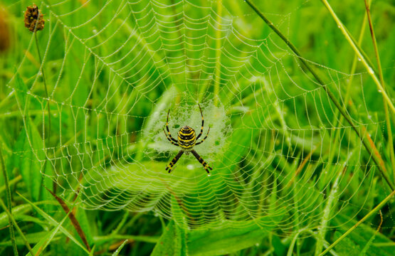 Noga Images – Parcourir 3,157 le catalogue de photos, vecteurs et ...