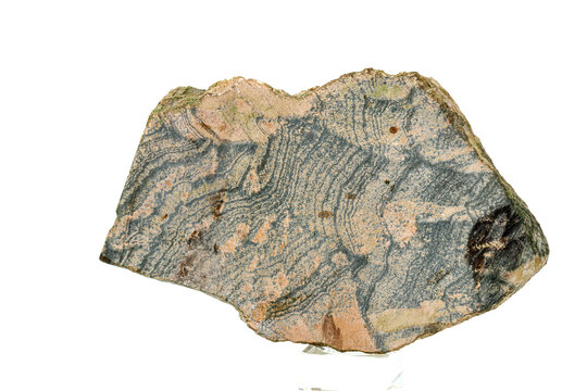 รูปภาพSkarn – เลือกดูภาพถ่ายสต็อก เวกเตอร์ และวิดีโอ188 | Adobe Stock