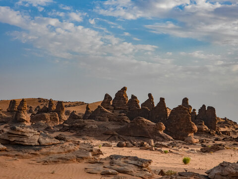 Alula Bilder – Durchsuchen 878 Archivfotos, Vektorgrafiken und Videos ...