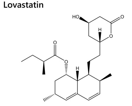 Altocor Images – Browse 76 Stock Photos, Vectors, and Video | Adobe Stock