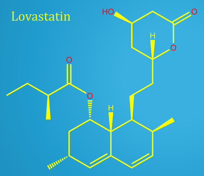 Altocor Images – Browse 76 Stock Photos, Vectors, and Video | Adobe Stock