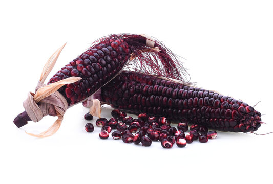 "Purple Corn Images – Browse 15,936 Stock Photos, Vectors, and Video ...