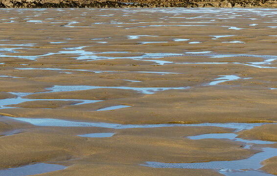 Intertidal Images – Browse 4,268 Stock Photos, Vectors, and Video ...