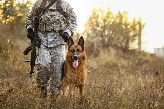 Army Dogs In Action