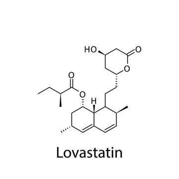 Altoprev Images – Browse 66 Stock Photos, Vectors, and Video | Adobe Stock