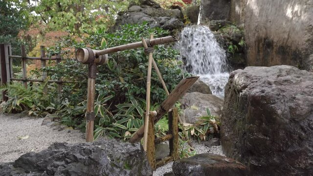 Shishi Images – Browse 570 Stock Photos, Vectors, and Video | Adobe Stock