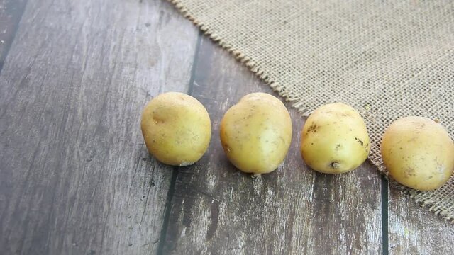 "Round Potatoes" 影像 – 瀏覽 26 個素材庫相片、向量圖和影片 | Adobe Stock