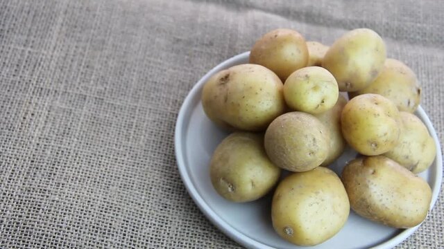 "Round Potatoes"-Bilder: Stock-Fotos & -Videos. | Adobe Stock