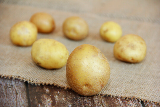 "Round Potatoes" 影像 – 瀏覽 26 個素材庫相片、向量圖和影片 | Adobe Stock