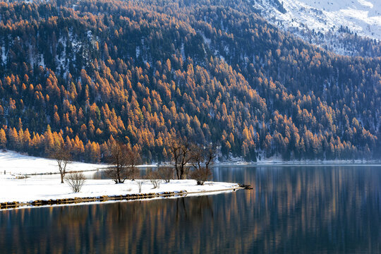 Champfer-Bilder: Stock-Fotos & -Videos. | Adobe Stock