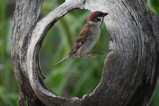 Ledig bilder – Bläddra bland 1,073 stockfoton, vektorer och videor ...