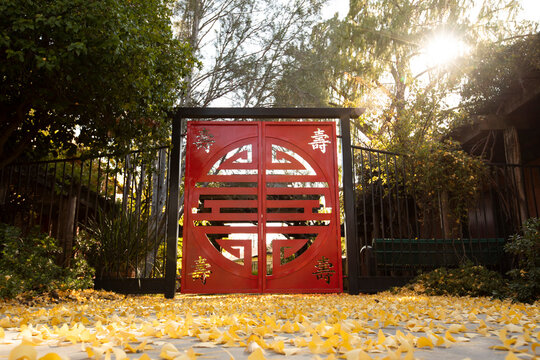 รูปภาพShenism – เลือกดูภาพถ่ายสต็อก เวกเตอร์ และวิดีโอ225 | Adobe Stock