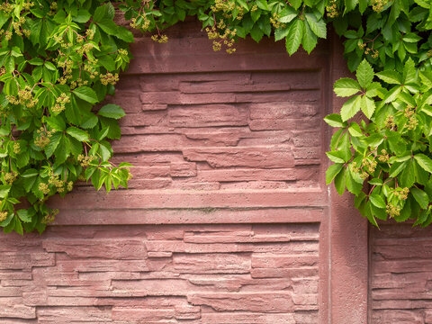 Entwined Images – Browse 12,629 Stock Photos, Vectors, and Video ...