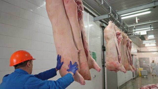 Pig Carcass Images – Browse 7,763 Stock Photos, Vectors, and Video ...