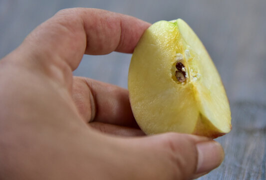 Lopsided Bilder – Durchsuchen 1,202 Archivfotos, Vektorgrafiken und ...