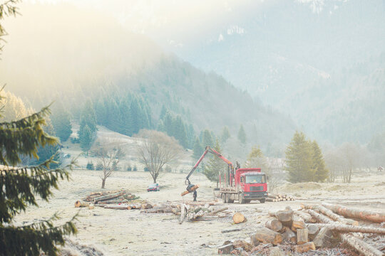 Lumberjacking Images – Browse 395,770 Stock Photos, Vectors, and Video ...